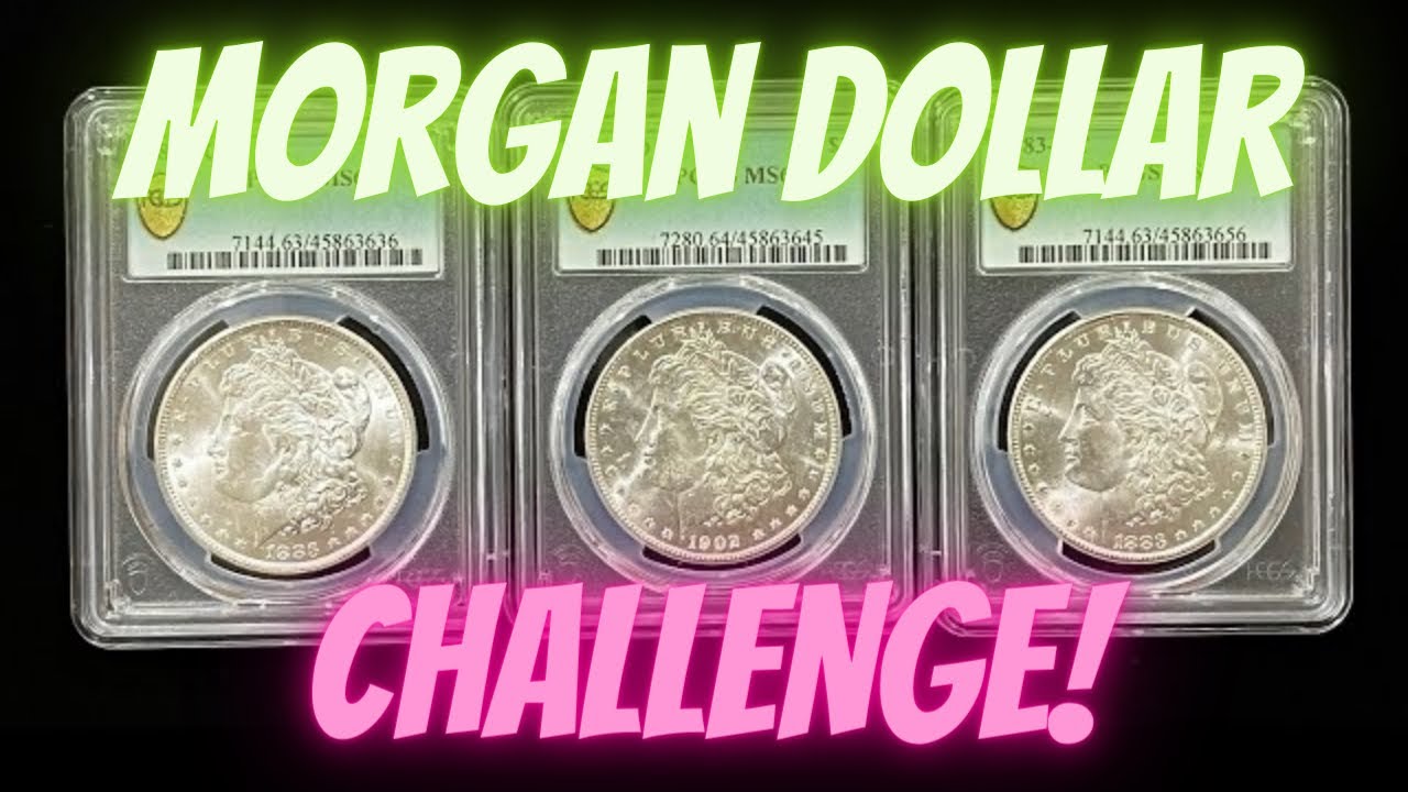 Morgan Silver Dollar Challenge. Can I get an MS65? Grading my Coin ...