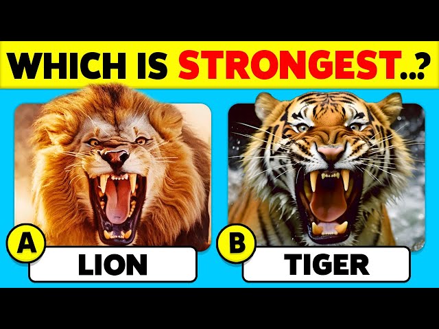 You Should Know General Knowledge Quiz Animals 1 Youtube Thursday Quiz