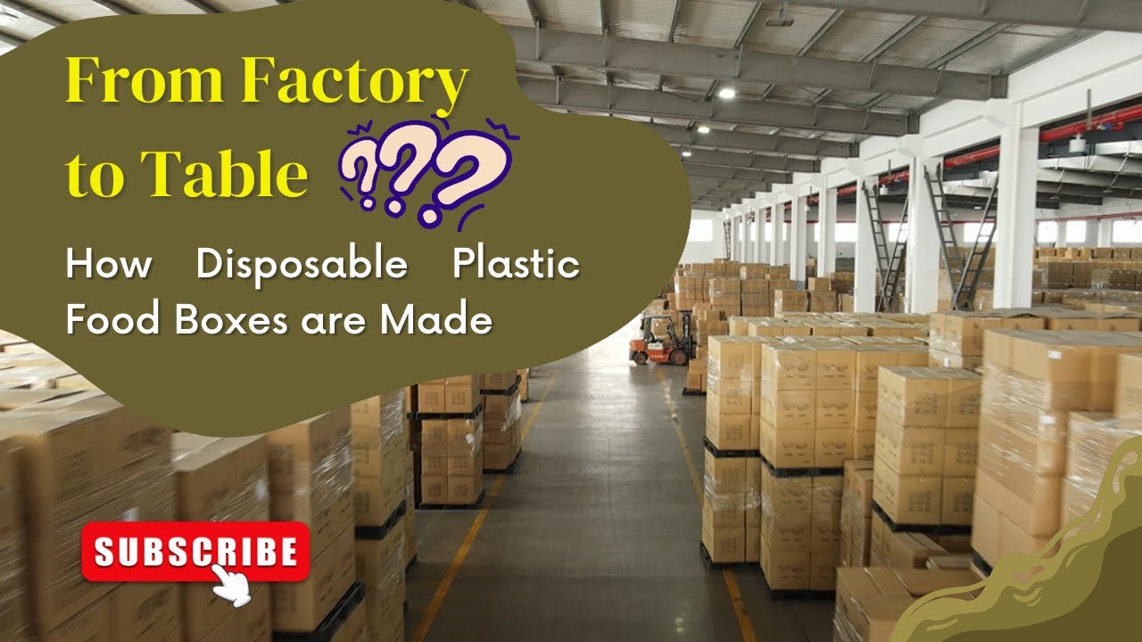 From Factory to Table: How Disposable Plastic Food Boxes are Made - YouTube
