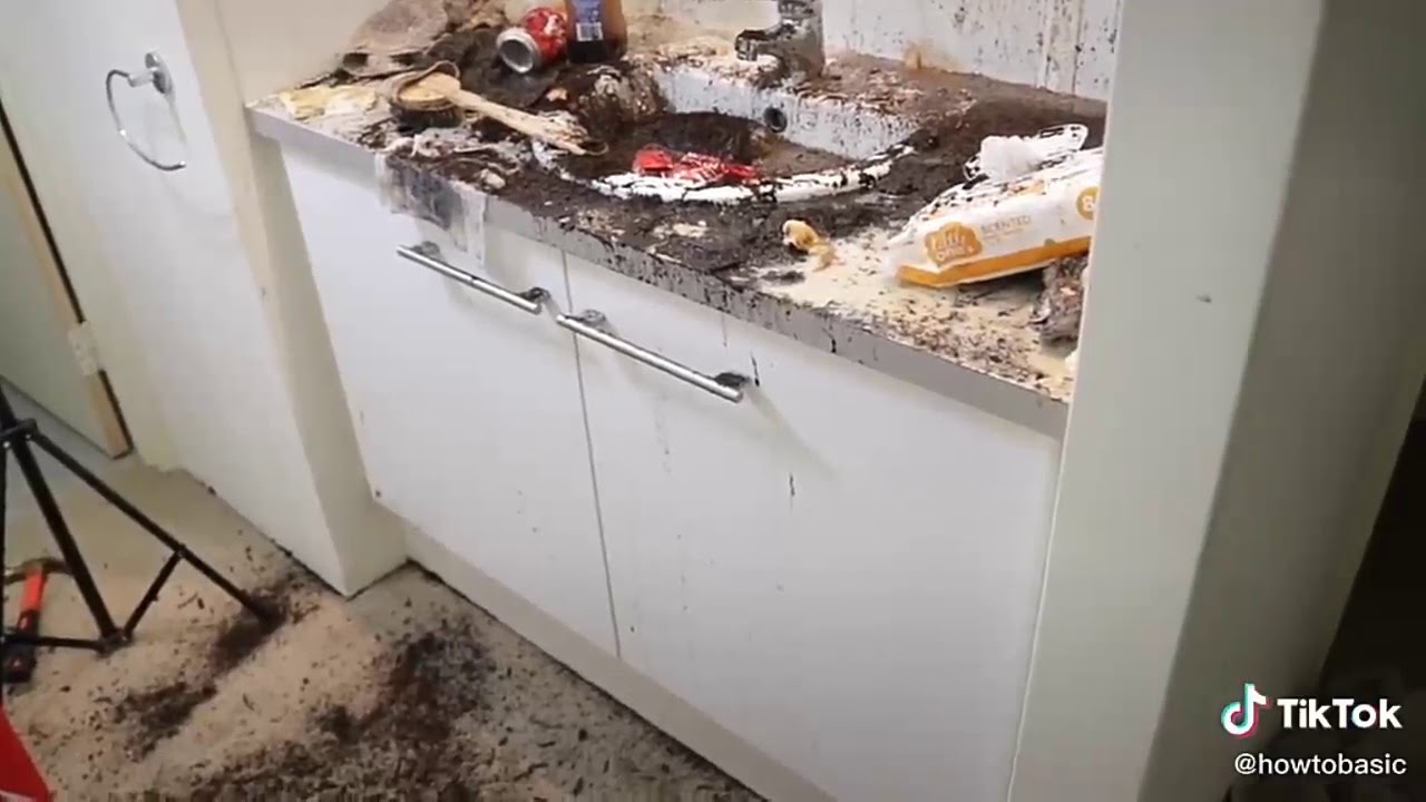 Howtobasic Tiktok Compilation (PART 3) FINAL - YouTube