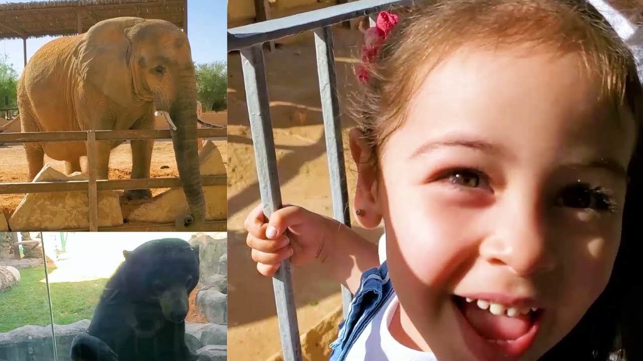 Razan Visit the Zoo and Learn about Animals - Kids At The Zoo ...
