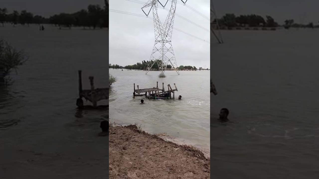 Rojhan city flood area - YouTube