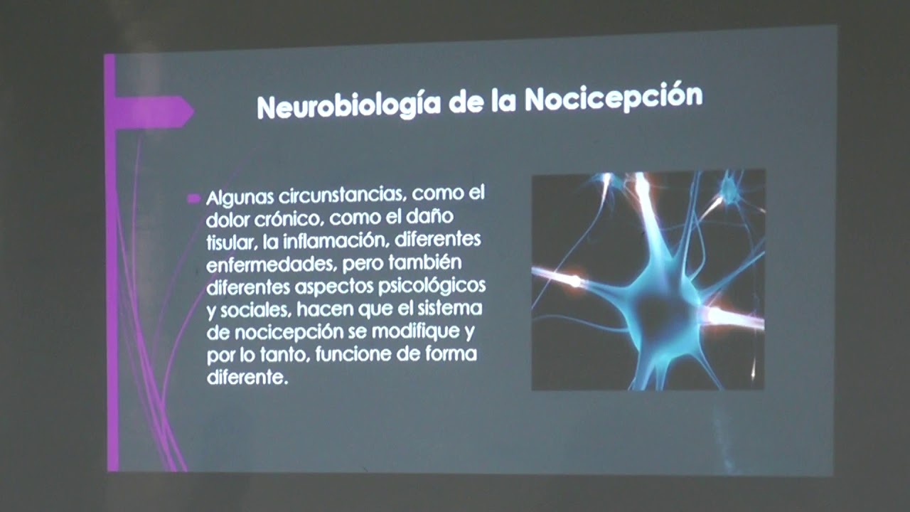 MANEJO DEL DOLOR Y CUID PALIAT 01 - YouTube