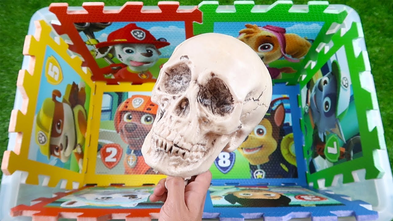 Characters, vehicles & colors: Skeleton, Ben & Holly, Peppa Pig. Learn ...