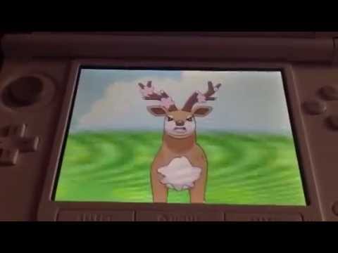 Showing Off My Shiny Sawsbuck(spring) - YouTube