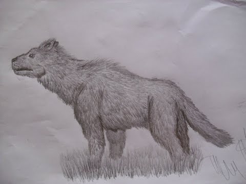 Cryptids and Monsters (CRYPTID OF THE WEEK): The Maine Mutant/Turner ...