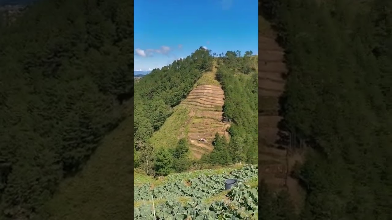 Vegetable Farms - Buguias, Benguet - YouTube