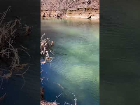 Previewed a beautiful 575-Acre Farm on the Piney River. List by Travis ...