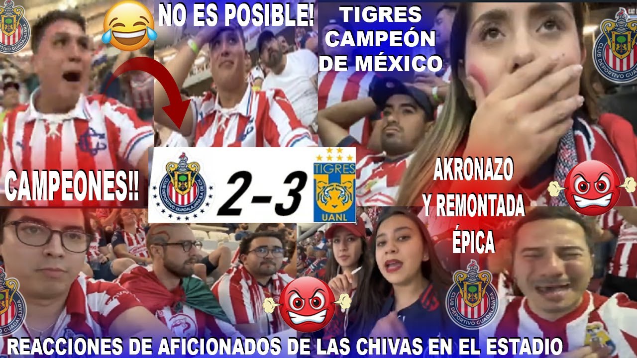 MEJORES REACCIONES DE LOS CHIVISTAS EN EL ESTADIO AL CHIVAS VS TIGRES ...