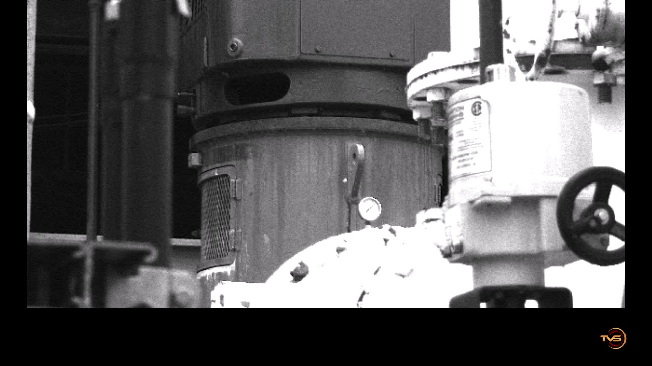 Tremor Vibration Services Vertical motor soft foot Motion Amplification ...