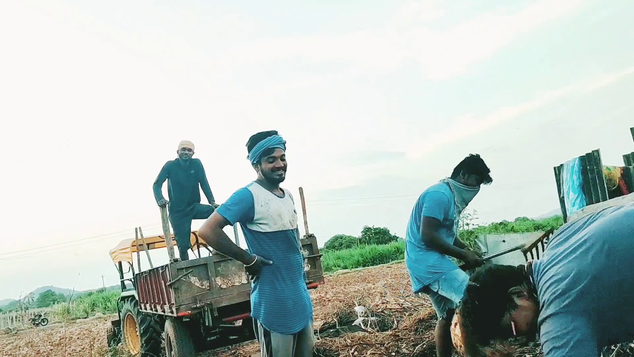 Village work During lockdown........(village show) - YouTube