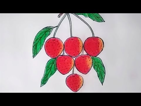 How to draw Litchi step by step.. Litchi Drawing... How to draw.. লিচু ...