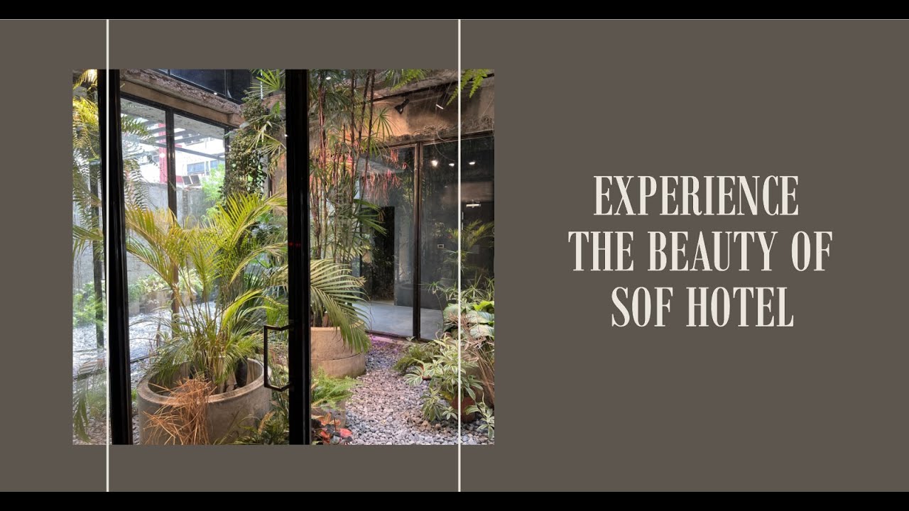 台中市飯店開箱Taiwan hotel unboxing: 植光花園酒店 SOF Hotel 廢墟自然美and Lalaport (newest shopping center) 台灣甜點 ...