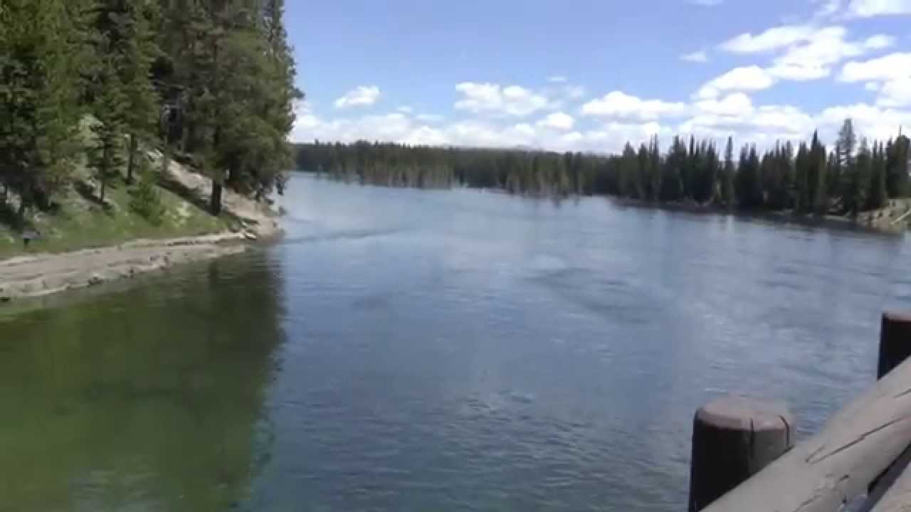 Yellowstone 7 July '14 Fishing Bridge #1 - YouTube