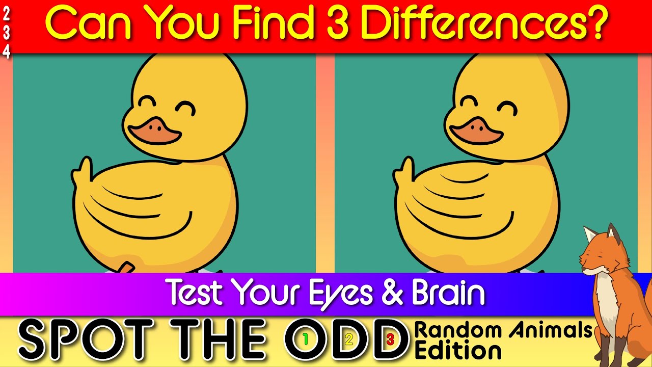Brain Break - Find 3 Differences | RANDOM ANIMALS Edition | Game 234 ...