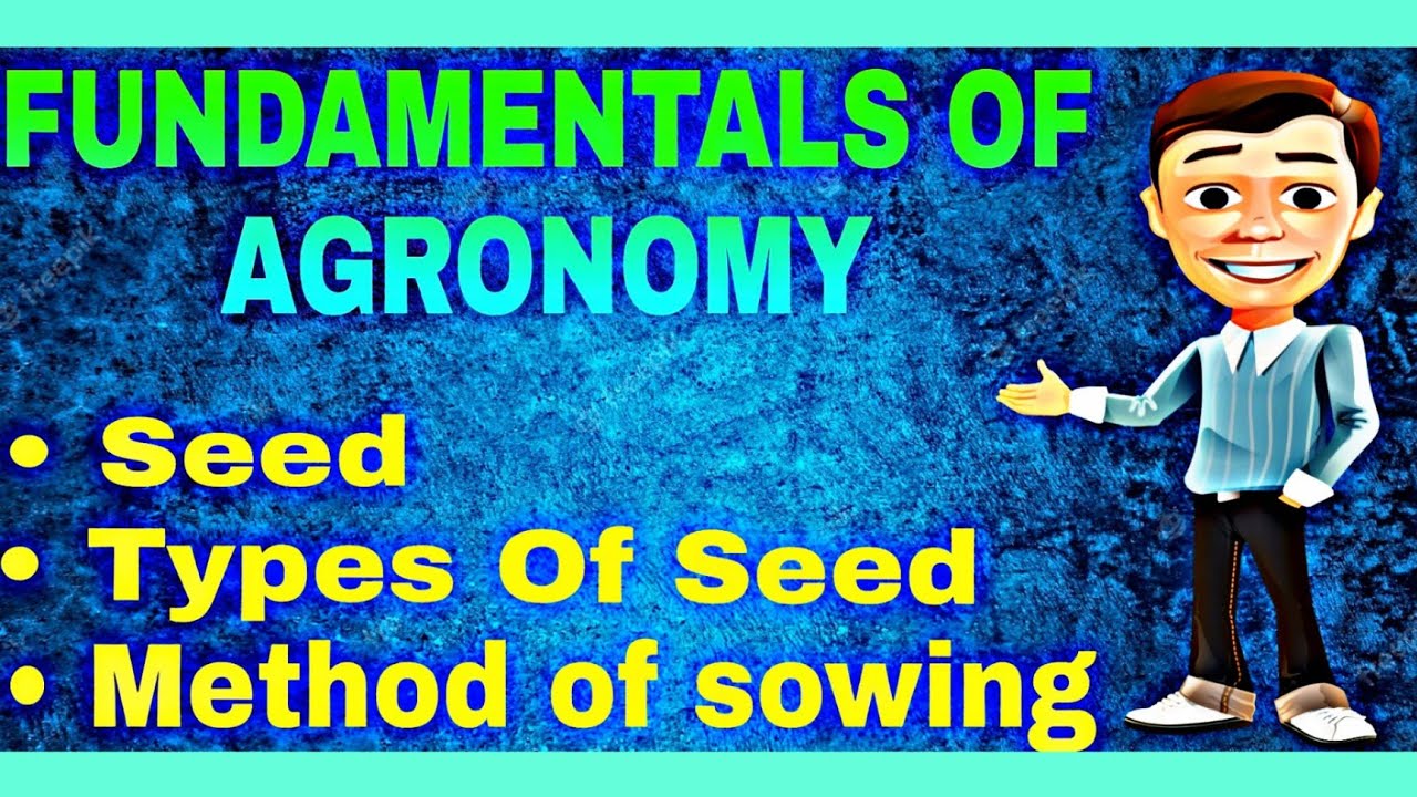 seed and sowing in agronomy || method of Sowing || seed sowing methods ...