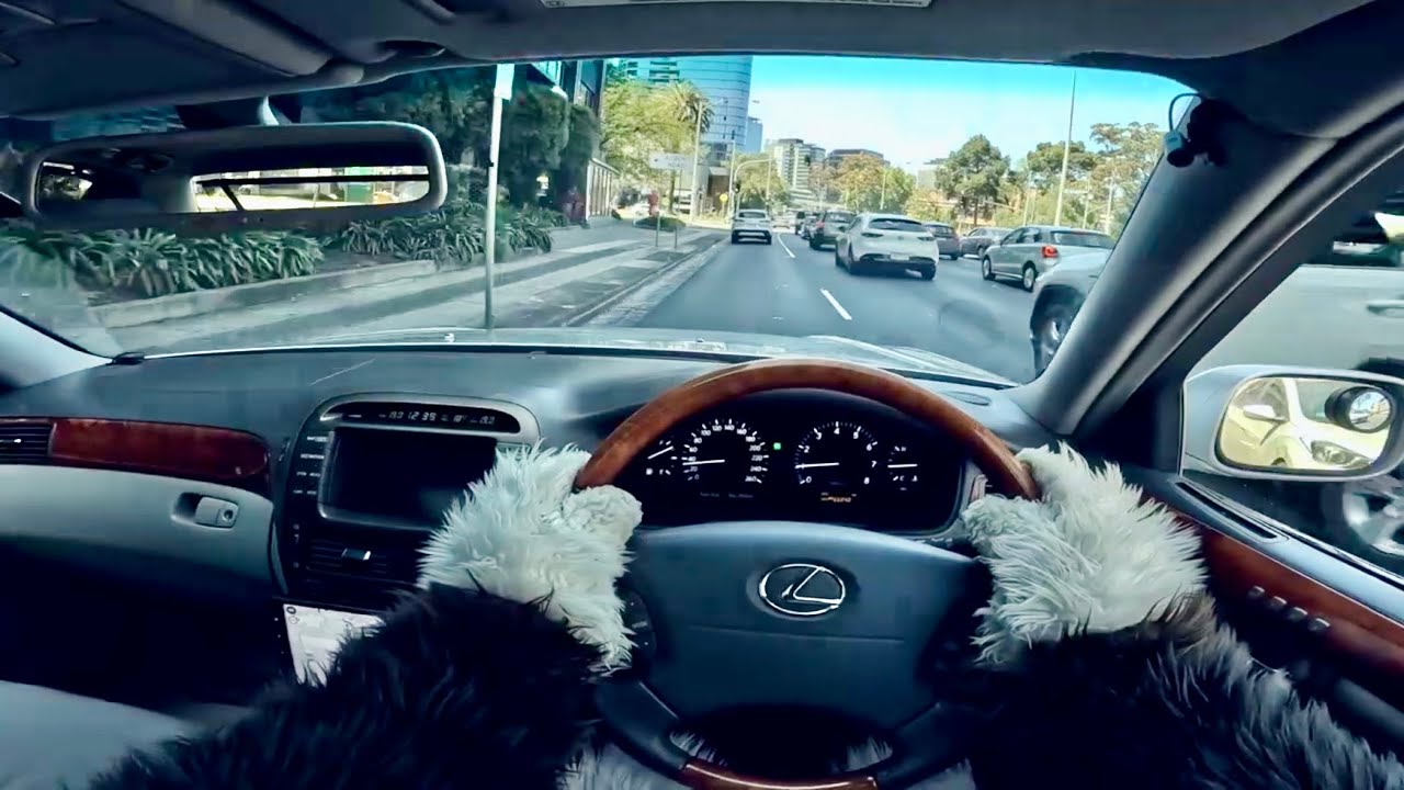 Furry Chauffeur POV ASMR | Driving 3.5 hrs in Fursuit Through Melbourne ...