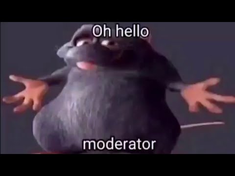 hello moderator - YouTube