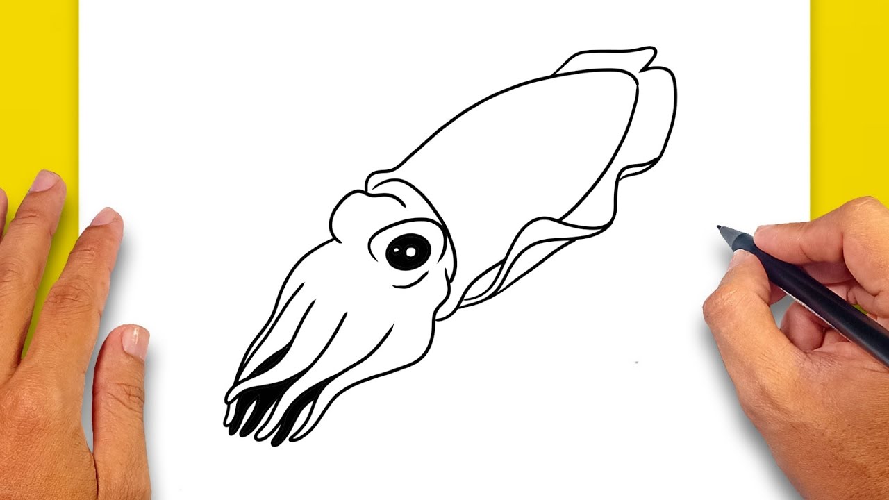 How to draw Cuttlefish - YouTube