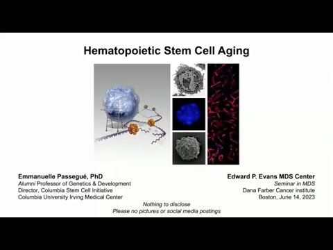 The Edward P. Evans Seminar in MDS, 2023 - YouTube