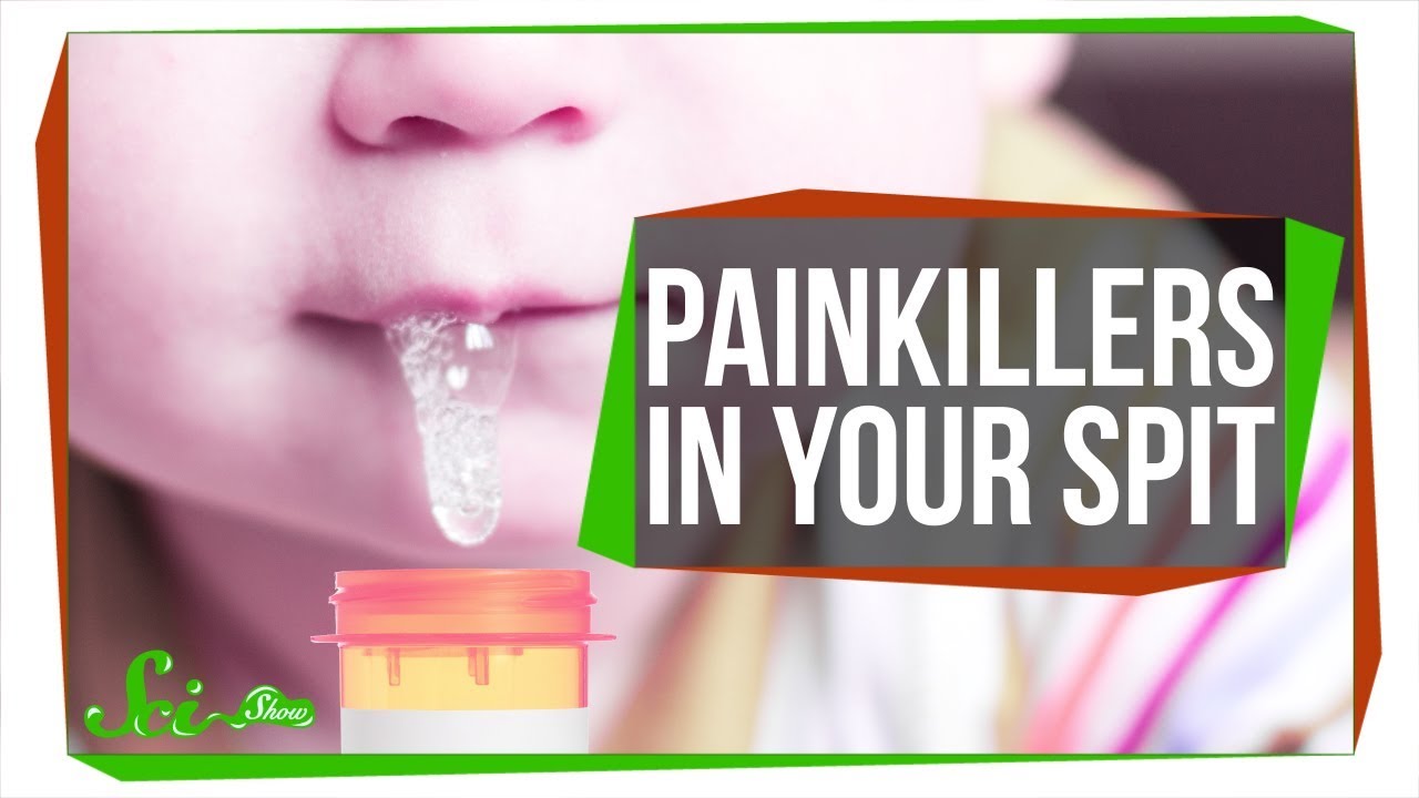 The Super Strong Painkiller Hiding in Your Spit - YouTube