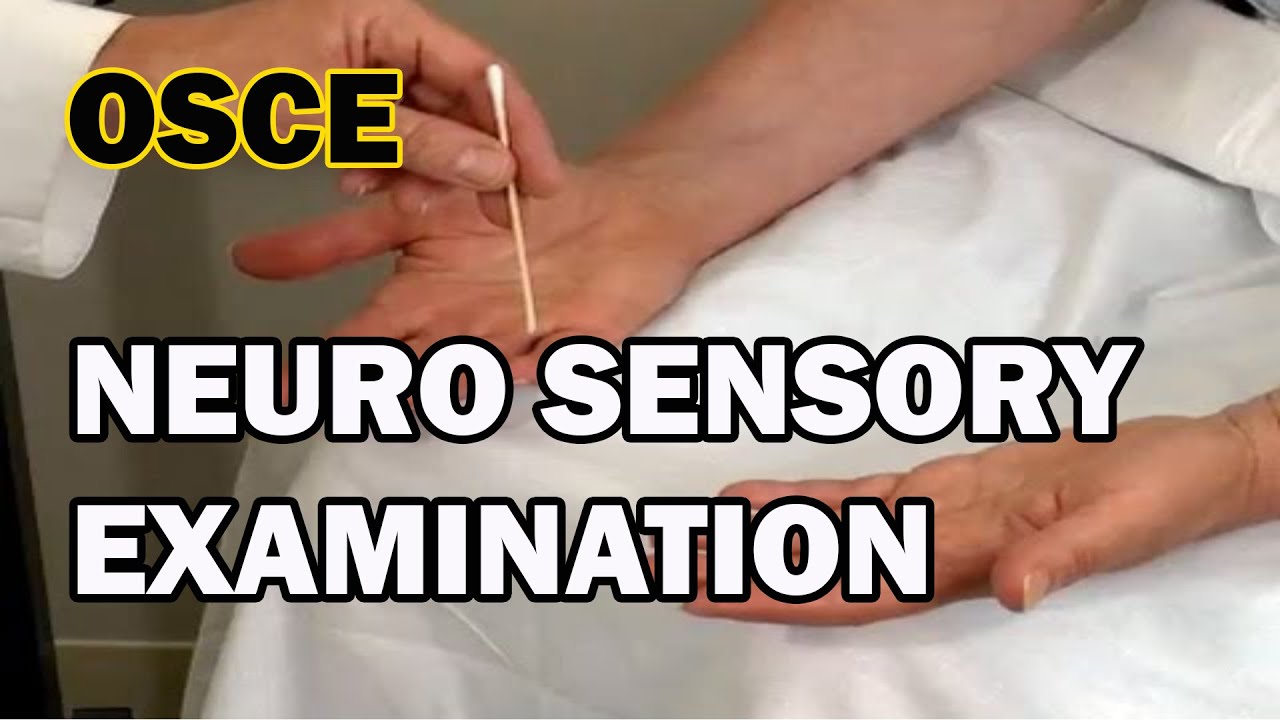 NEUROLOGICAL SENSORY EXAMINATION - YouTube