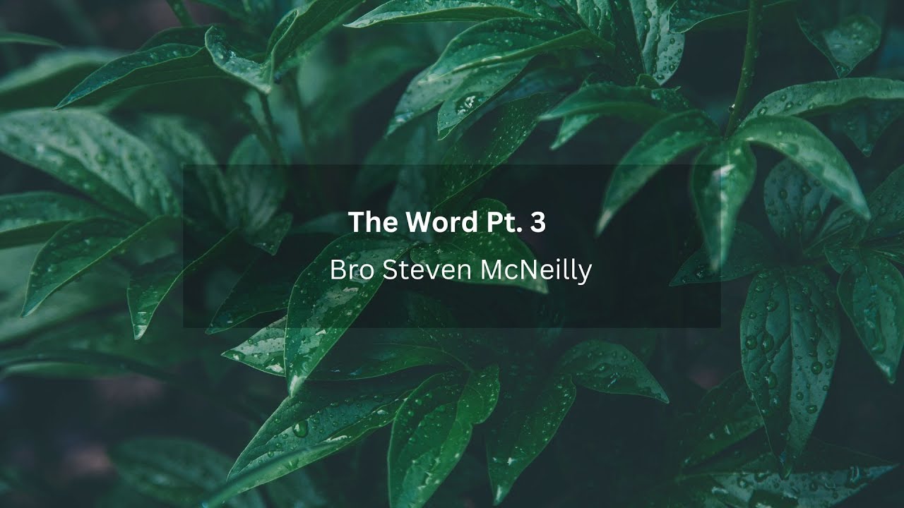 The Word, Pt. 3 - Bro Steven McNeilly - YouTube