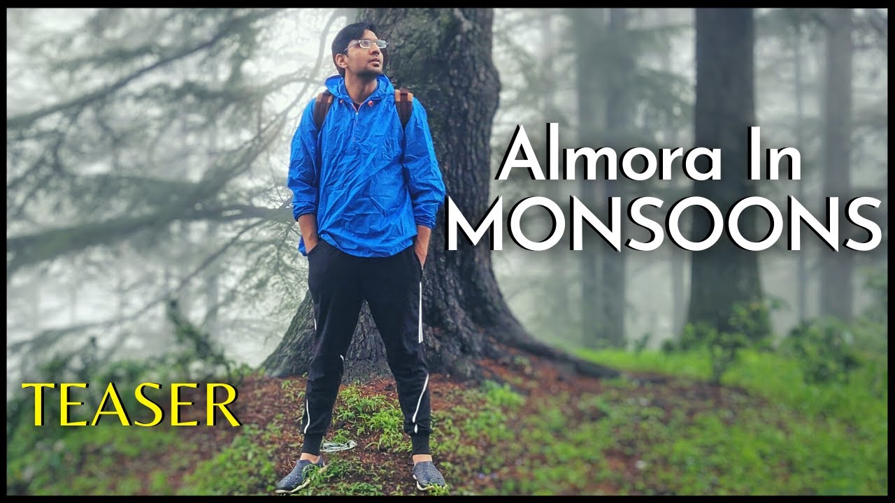Living In A Hidden PINE FOREST In Almora | An Escape For Bruised Lungs ...