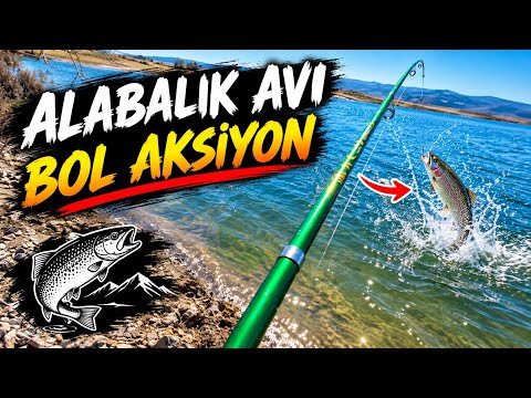 ZORLU MERADA AKSİYONLU ALABALIK AVI | ÇEKEREK BARAJI