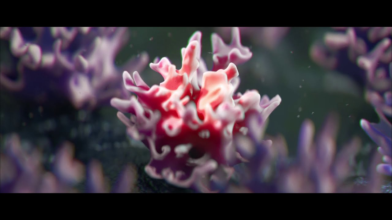 Coral Growth in Houdini - YouTube