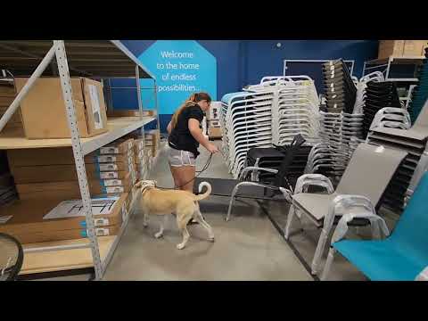 Mabel Day 6 update - YouTube