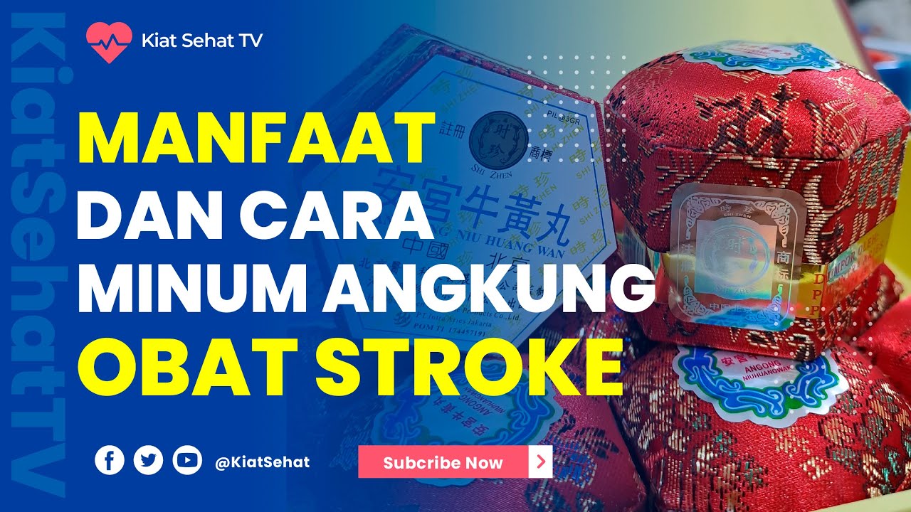 Manfaat dan Cara Minum Herbal Angkung Obat Stroke - YouTube