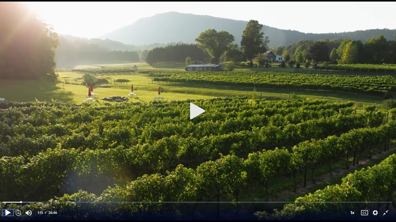 Rabun Wine from Mountain Vines: GPB's A Fork in the Road explores Rabun ...
