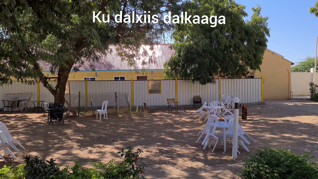 burco 2021 (daalo restaurant) - YouTube