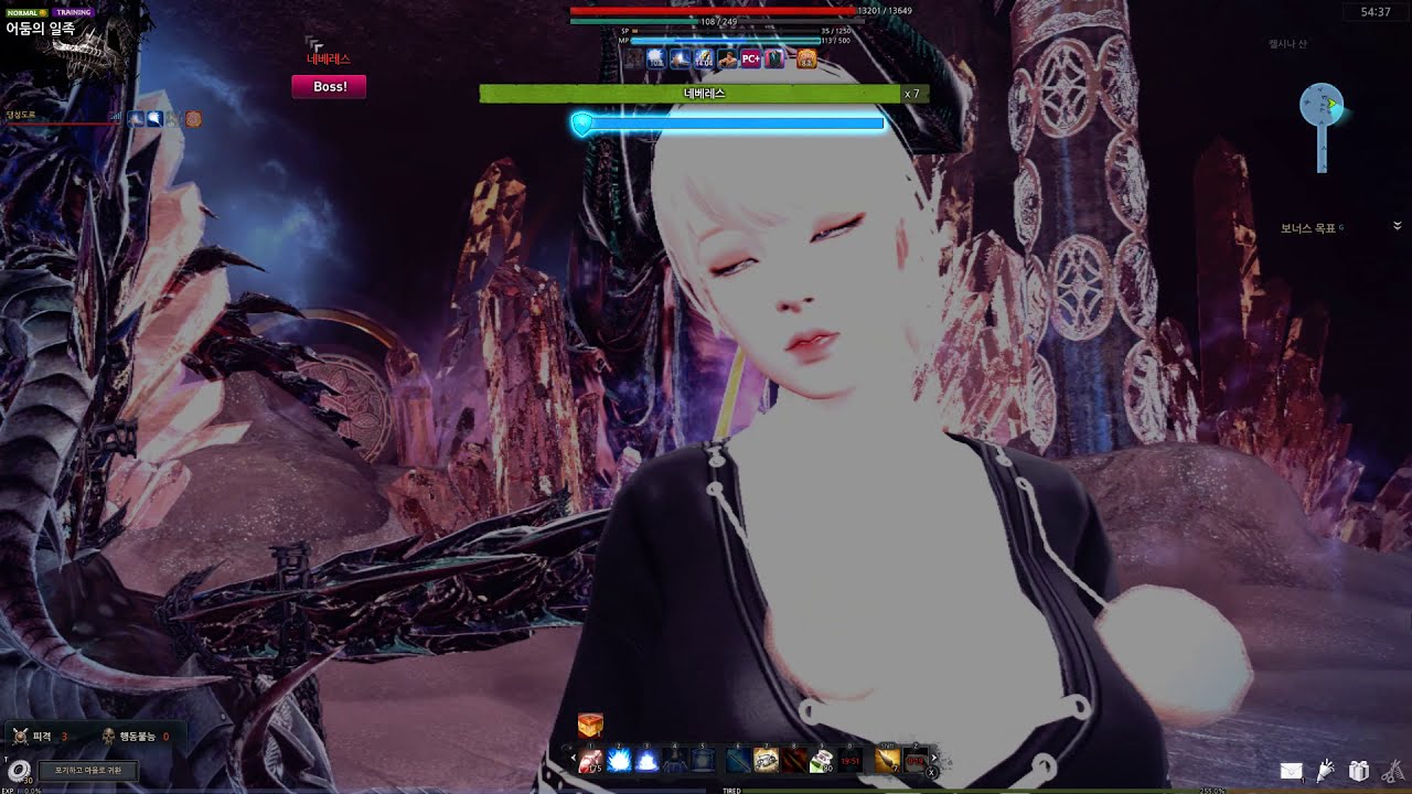 [Vindictus] Arisha Nyle Solo 7:10 / 아리샤 네베레스 솔로 리뉴얼 7:10 - YouTube