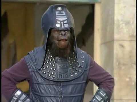 APES!!! URKO - YouTube