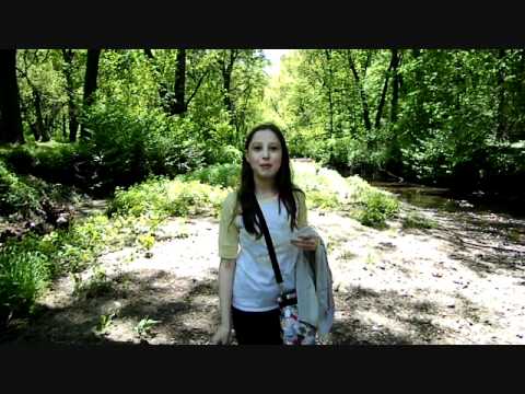 strip me (potentiallytory contest)