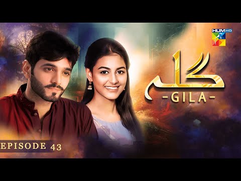 Gila Episode 43 [ Wahaj Ali - Anzela Abbasi ] Best Pakistani Serial - HUM TV