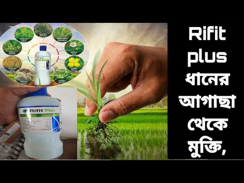 Rifit plus Weedicide/রিফিট প্লাস- ধান চাষে সিনজেনটার আধুনিক আগাছানাশক ...