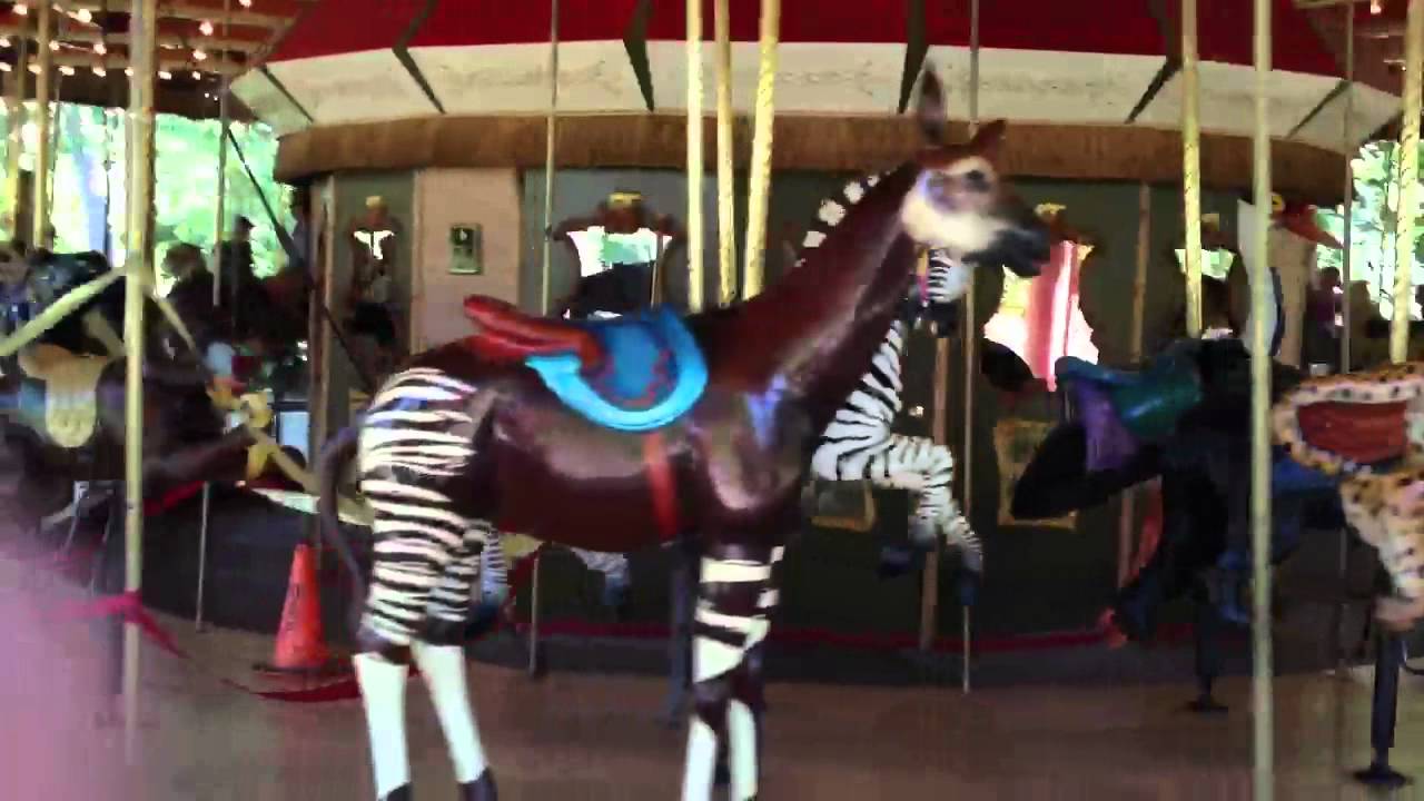 Braxton rides the carousel - YouTube