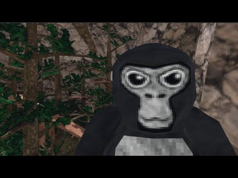 Lets Play Hide and Seek!!! (ft. Lex) - Gorilla Tag #4 - YouTube