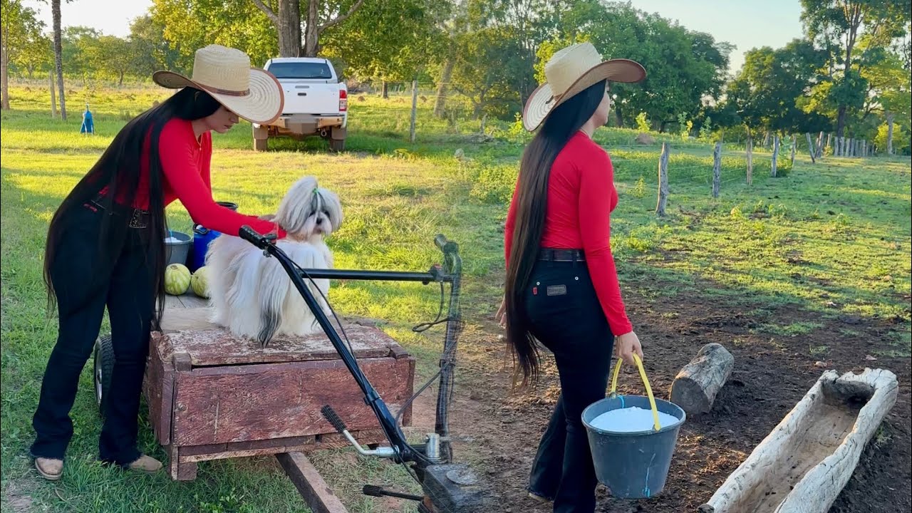 Vida na roça💚 “Parte 01” - YouTube