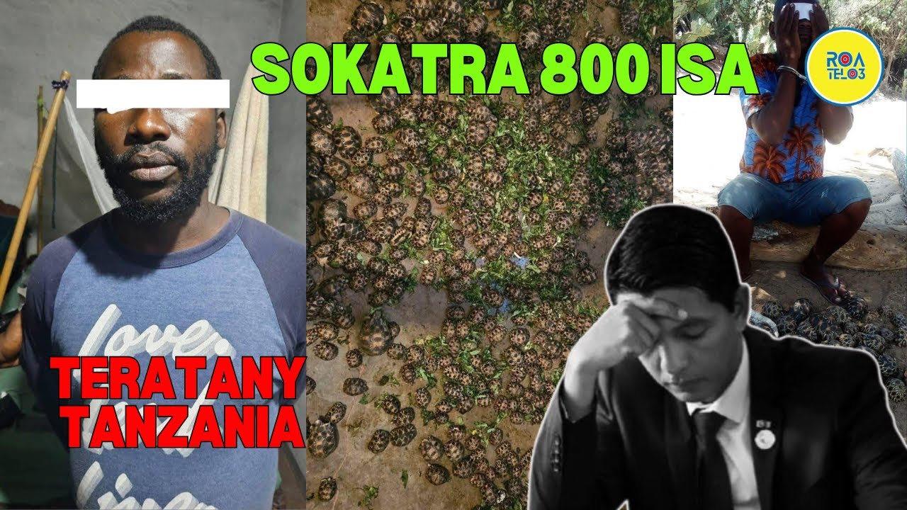 TRATRA AMBODIOMBY TERA-TANY TANZANIA! TRAFIKA SOKATRA 800 ISA - YouTube