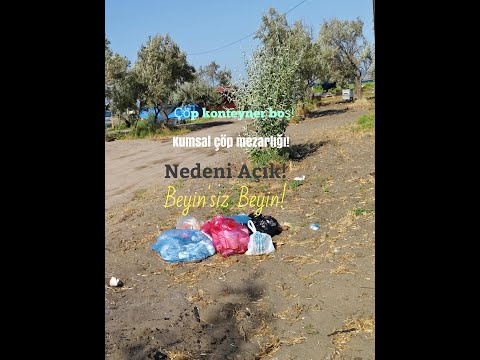 Konteyner boş. Plaj çöplük. Nedeni? Beyinsiz Beyin! Çaresi ?#plaj #çözüm #sahil #beyin #suç #mezar
