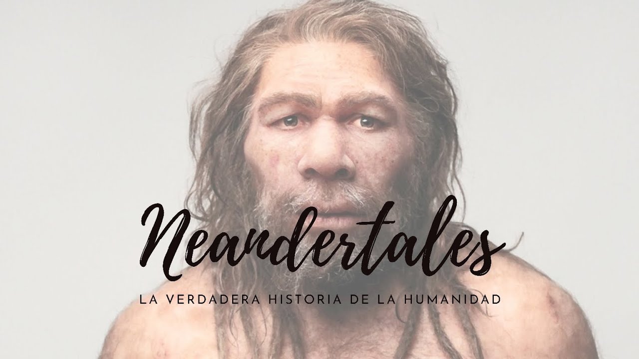 🔊 Documental: Neandertales, la verdadera historia de la humanidad 👇 ...