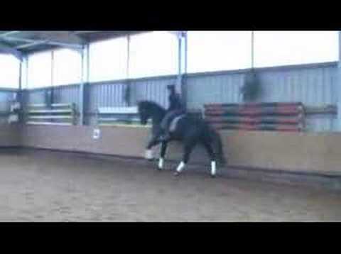 HorseBase Video (www.horsebase.de) - YouTube