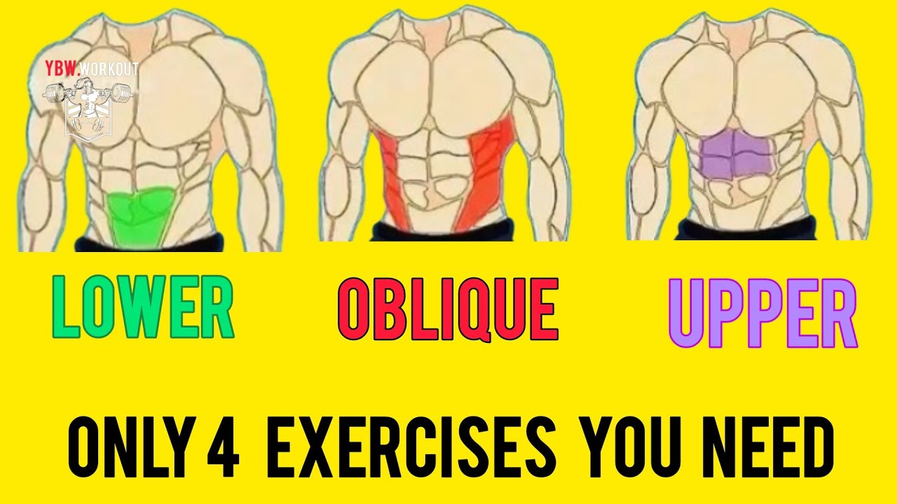 THE 4 BEST AB EXERCISES YOU CAN DO WITHOUT EQUIPMENT 🔥💯 - YouTube