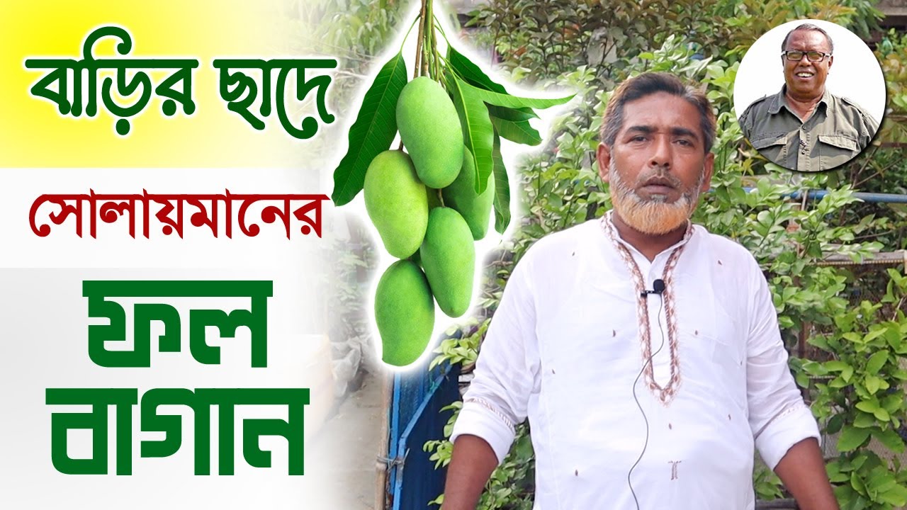 বাড়ির ছাদে মোঃ সোলায়মানের কৃষি সাফল্য | ছাদকৃষি | Shykh Seraj | Bangladesh | Priyo Barta - YouTube