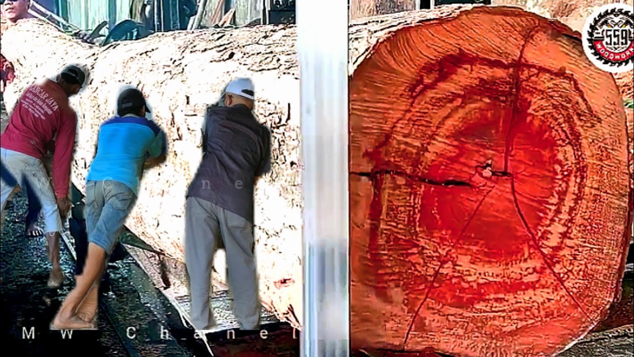 Wood Cutting and Splitting Skills // Sawing Extraordinary Giant Tree ...