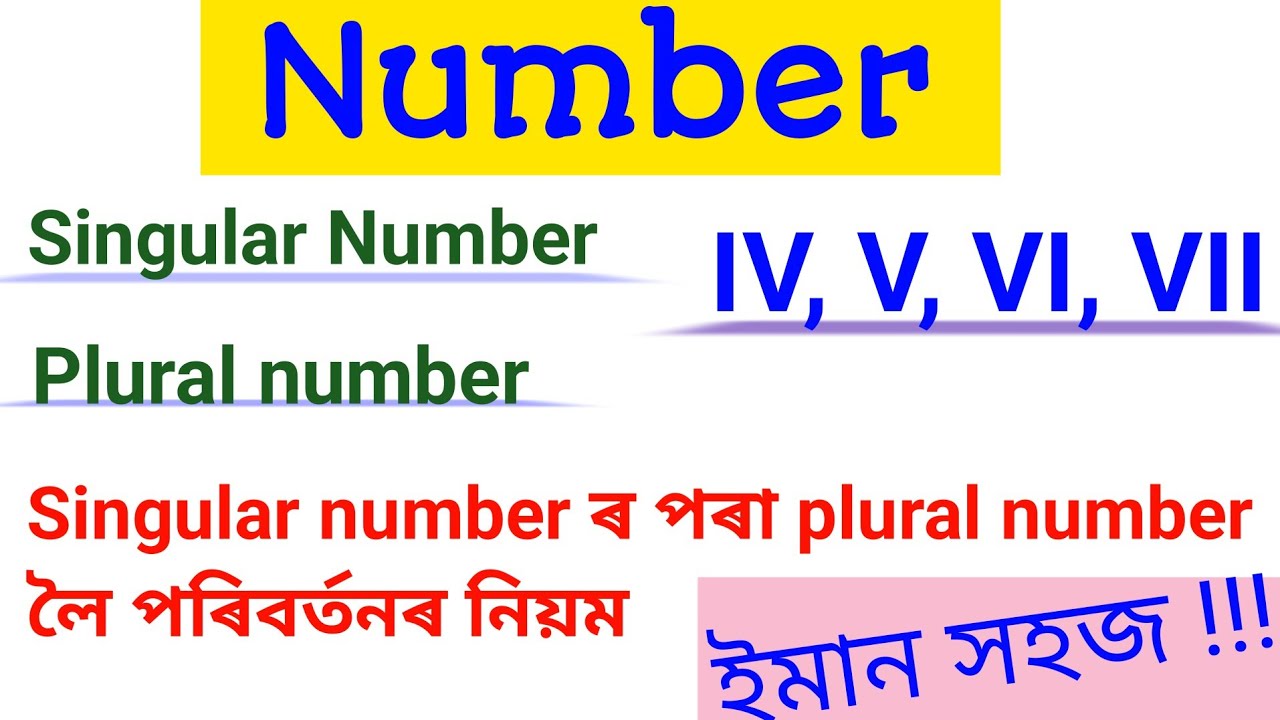 Number //English Grammar // Singular and plural - YouTube